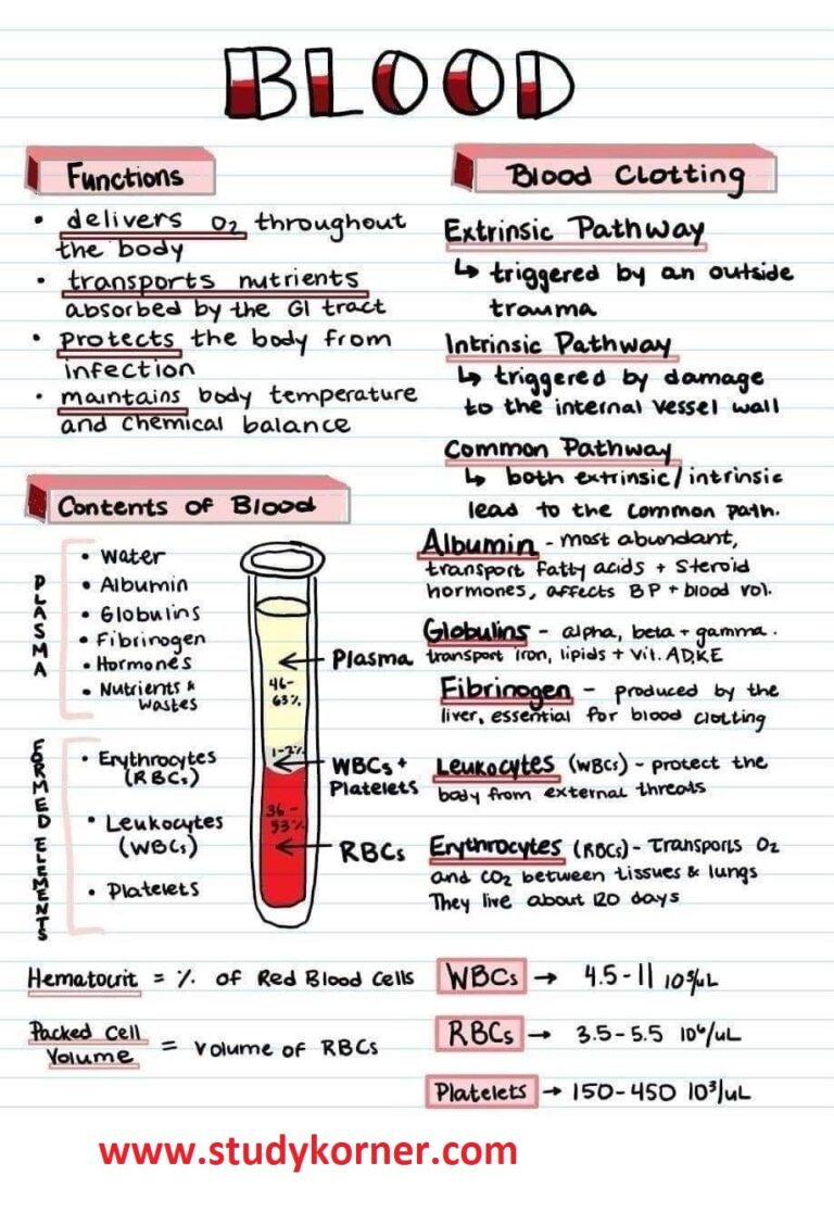 Nursing Study Guide: Blood Contents and Vocabulary List - medicalkidunya